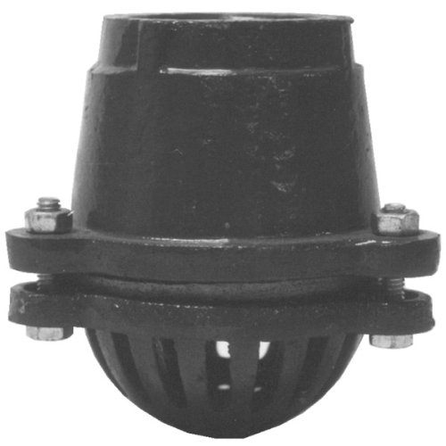 Dixon DFVS35 3" Painted foot valves: Industrial Valves: Amazon.com ...