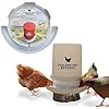 Amazon.com : The Original Poultry Pro Waterer | DIY Chicken Waterer for ...