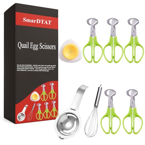 10 Best Egg Separator - Professional Kitchen Tools