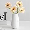 Amazon.com: White Ceramic Vase, Flowers Vase in Rustic Whitewash Finish ...