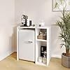 Amazon.com: Flash Furniture Lotus Mini Fridge Shelf Organizer, Space ...
