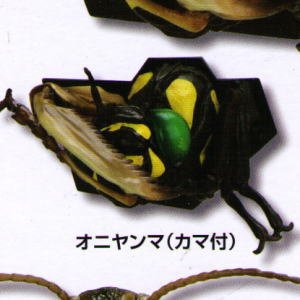3d Capsule Encyclopedia 3d Insects Face Corporation [Japan Series EX ...