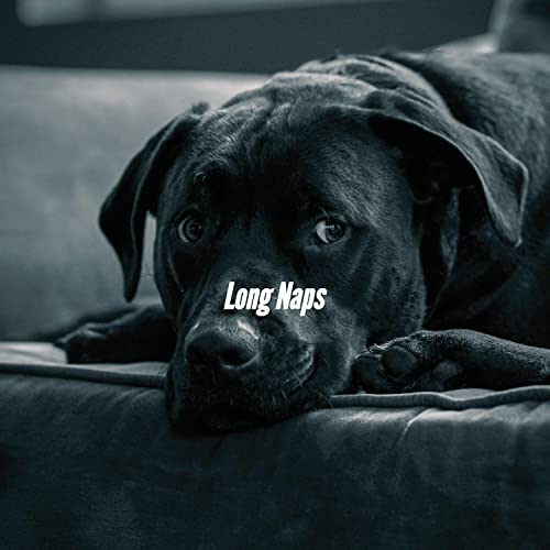 Amazon MusicでBrazilian Jazz Deluxe & Easy Sunday Morning MusicのLong ...