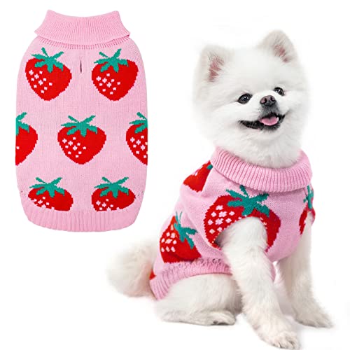 Cute Dog Sweaters – The 15 best products compared - Wild Explained