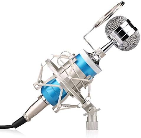 Generic Sound Studio Recording Dynamic Professional Condenser ...