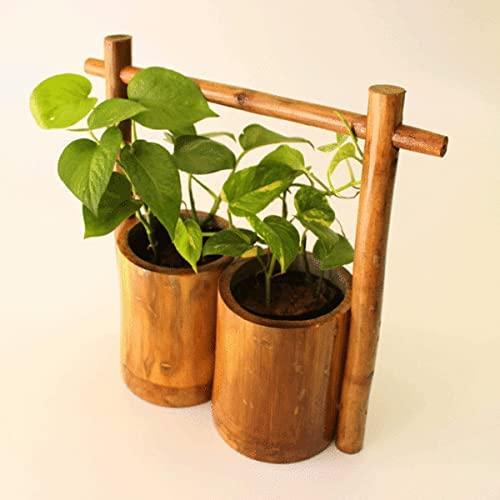 Aziraj Handicrafts Bamboo Hanging Planters - Bamboo Stand -Bamboo ...