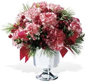 Amazon.com: Teleflora's Peppermint Carnations : Grocery & Gourmet Food