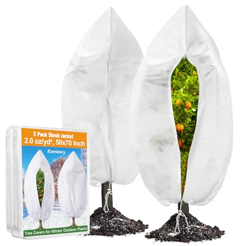 Best Cold Shrub Plants to Brighten Your Winter Garden - Totally Reviewed