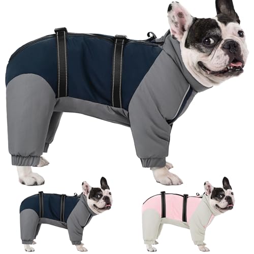 Chaqueta de nieve para perros – Los 15 mejores productos comparados - Wild Explicado
