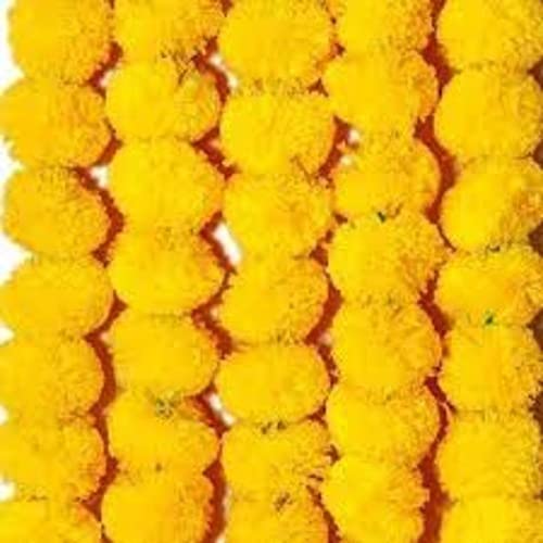 Buy AGNIRVA Artificial Marigold Flower Hanging Garlands For Home Decor ...