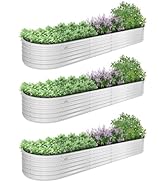 Amazon.com: A ANLEOLIFE 6X3X2 ft Galvanized Raised Garden Beds Outdoor ...