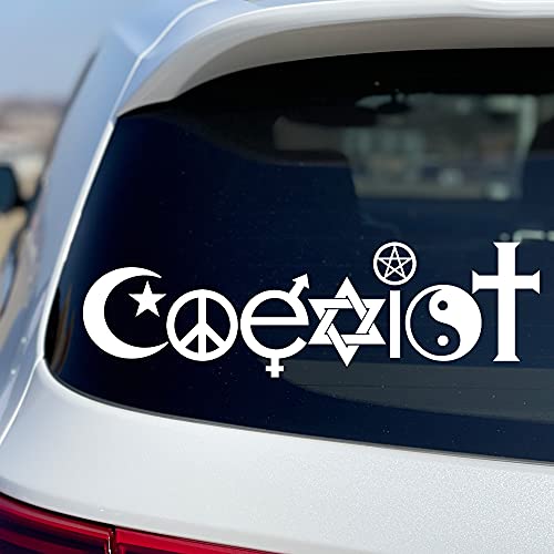 Amazon.com: Coexist Friendly Religions Vinyl Decal Sticker (CT-01 ...