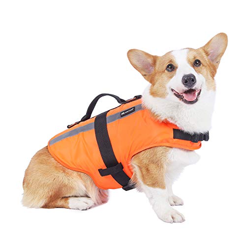 Best Life Jackets For Pugs - Just HEALTHIER Pugs!