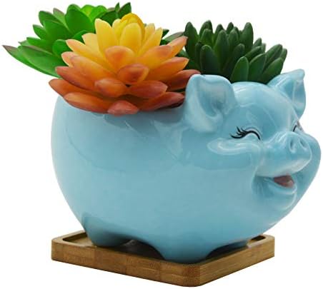 Amazon.com: Lasimfa Funny Succulents Plant Pots, Set of 2, Small ...