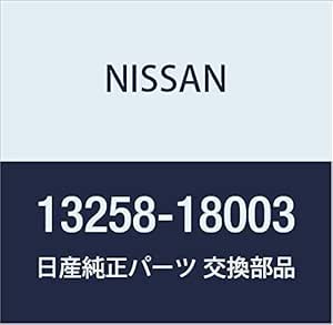Amazon.com: NISSAN (nissan) Genuine Parts rotuka- Valve : Automotive