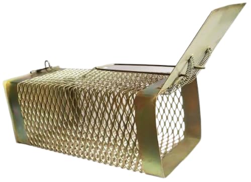 Iron Rat cage for Big & Small Rats | Rats House | Rat Trap | Rat pinjra ...