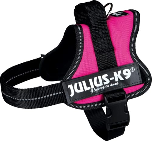 Julius K9 Harness – The 15 best products compared - Wild Explained
