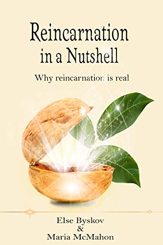 Reincarnation in a Nutshell: Why Reincarnation is real (Spiritual ...