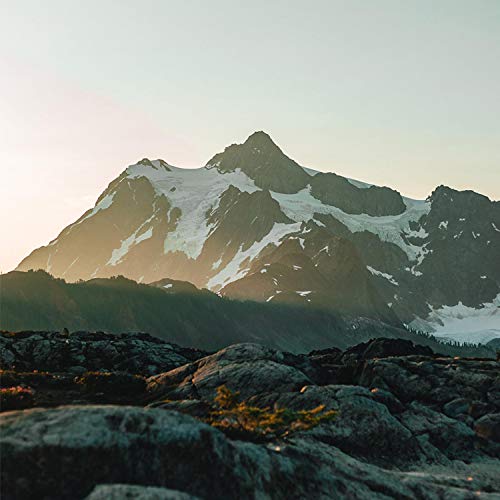 Écouter Sound & Security par The Walking Tree sur Amazon Music Unlimited