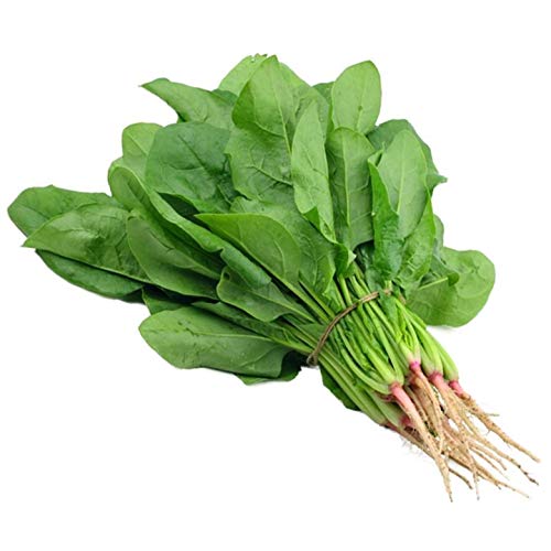 Fresh Basale Leaf/Bachali Kura, 250g : Amazon.in: Health & Personal Care