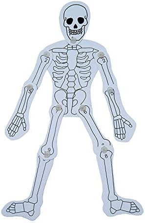 Buy Human Skeleton Puzzle - Construct A Realistic-Looking Human ...