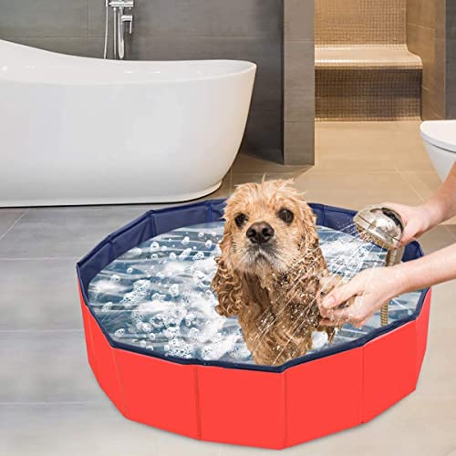 Making a Splash: Dive into the Top 10 Pet Pools for Summer Fun - Furry ...
