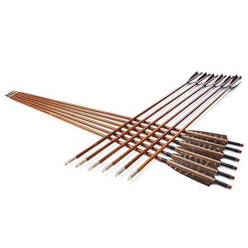 Amazon Best Sellers: Best Archery Hunting Arrows