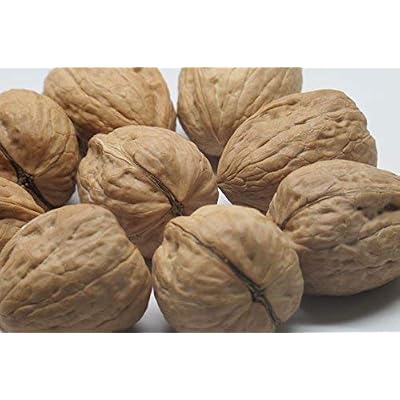 Hartley Walnut