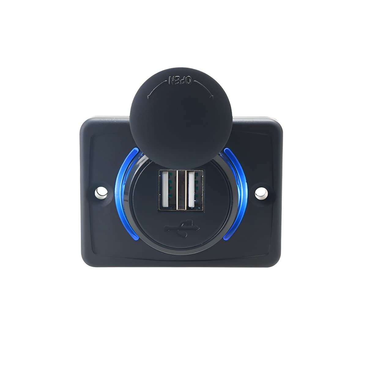 Amazon.com: Panel Dual USB Car Charger Socket, 3.1A Power Outlet with ...