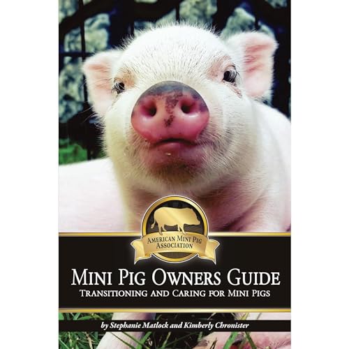 Amazon.com: Mini Pig Owners Guide: Transitioning and Caring for Mini ...