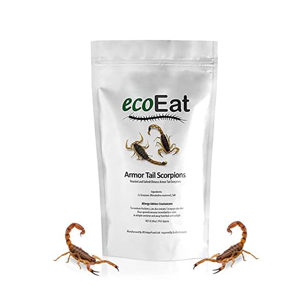 Edible Armor Tail Scorpions by ecoEat - Edible Insects Bugs Snack Gift ...
