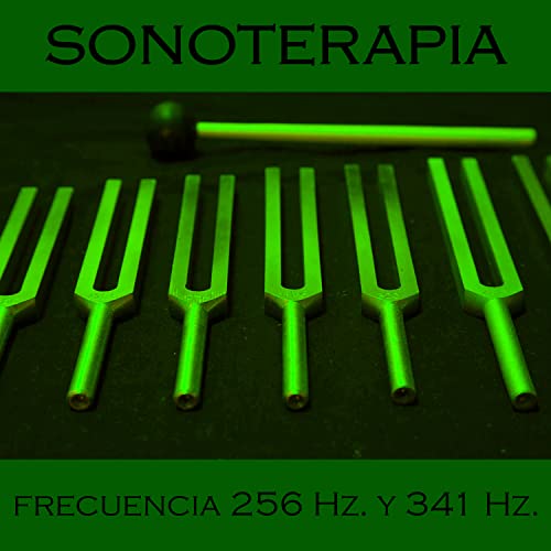 Amazon MusicでMeditacion.Mx feat. Rafiux Rafael RosasのFrecuencia C-256 ...