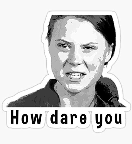 Greta How Dare You Climate Change Kinder - My STICKER Design - Sticker ...