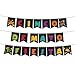 Amazon.com: Cinco De Mayo Fiesta Paper Banner Mexican Fiesta Party ...