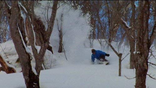 Amazon.com: Snowboard DVD Colors : Movies & TV