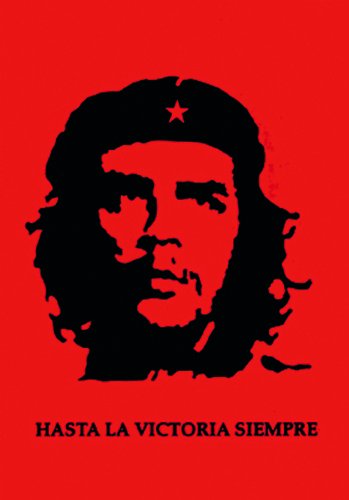 LPGI Che Guevara Fabric Poster, 30 by 40-Inch, Portrait : Amazon.in ...