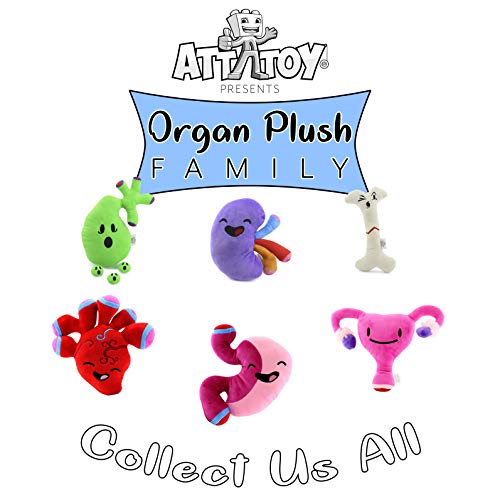 Attatoy Gallbladder Plush, Body Organ Stuffed Toy Complete with ...
