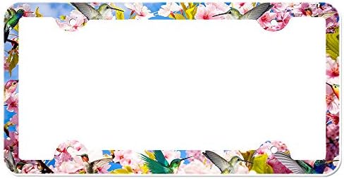 Amazon.com: Hummingbirds License Plate Frame : Automotive