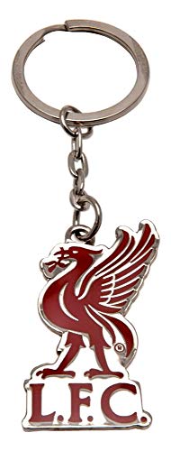 Amazon.co.uk Best Sellers: The most popular items in Sports Fan Key Chains