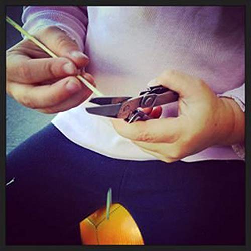 Leatherman Micra Multi Tool Review