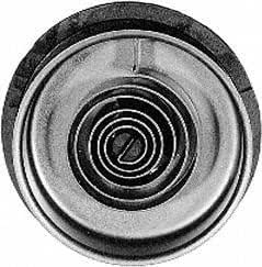 Amazon.com: Borg Warner TH343 Integral Choke Thermostat : Automotive