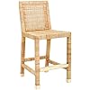 Amazon.com: Tov Furniture Amara Natural Rattan Veneer Counter Stool ...