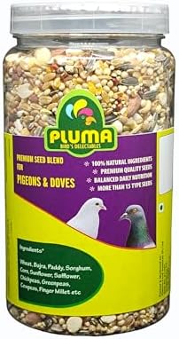 Buy Pluma Bird Food for Pigeons, Dove, Wild Parrots - 800g | Premium ...
