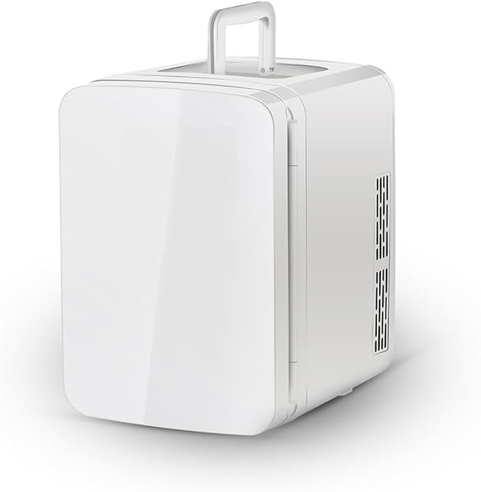 Digital Tec Mini Fridge 8 litre 10 Can Portable Mini Cooler & Warmer ...