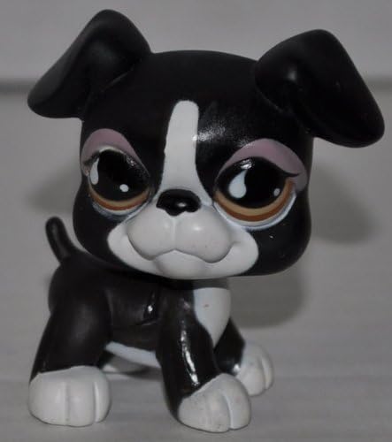 Amazon.com: Boxer #826 (Black/White, Orange Eyes) Littlest Pet Shop ...