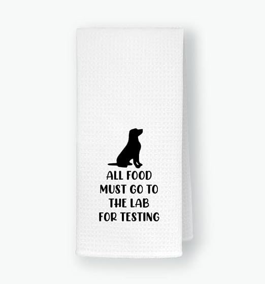 Amazon.com: QODUNG All Food Must Go to The Lab for Testing Soft Kitchen ...