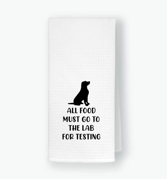 Amazon.com: QODUNG All Food Must Go to The Lab for Testing Soft Kitchen ...