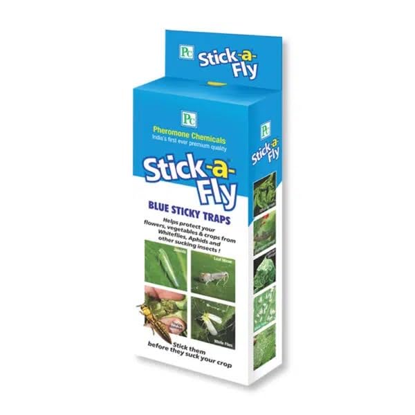 Blue Sticky Trap - 11 * 28cm-100pack : Amazon.in: Garden & Outdoors