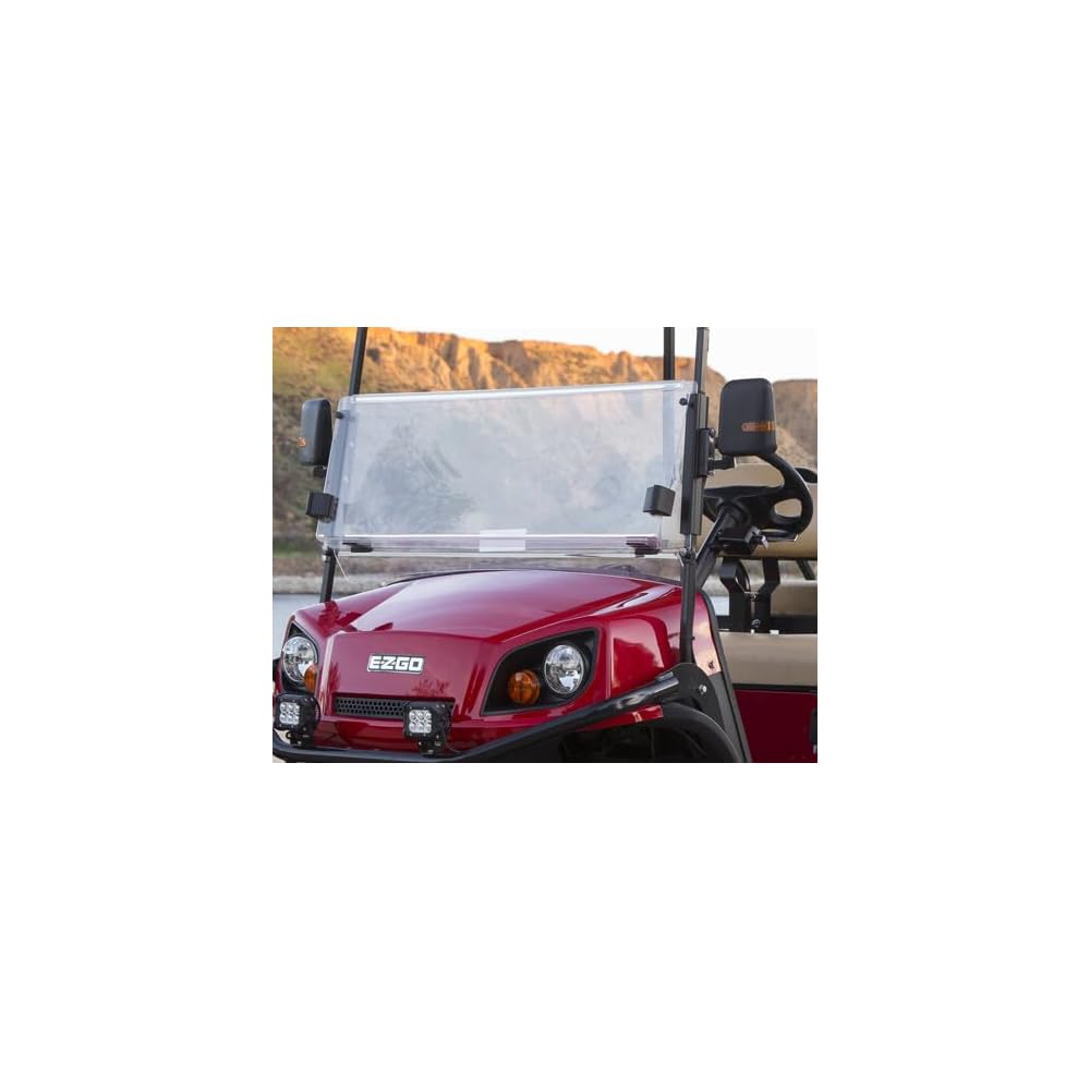 Buggies Unlimited EZGO Express Series S6 / L6 Golf Philippines | Ubuy