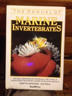 Manual Marine Invertebrates : Amazon.in: Books